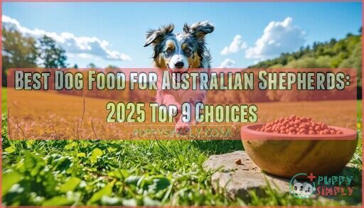 Best Dog Food for Australian Shepherds: 2025 Top 9 Choices