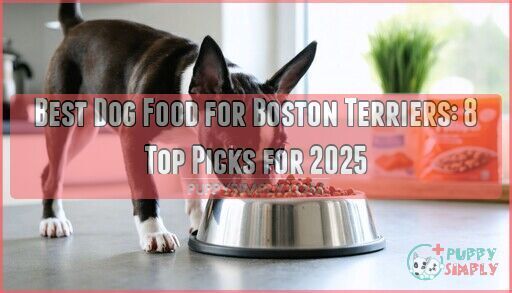 Best Dog Food for Boston Terriers: 8 Top Picks for 2025