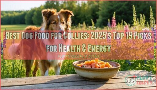 Best Dog Food for Collies: 2025's Top 19 Picks for Health & Energy