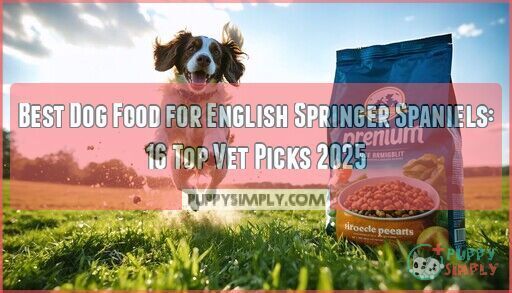 Best Dog Food for English Springer Spaniels: 16 Top Vet Picks 2025
