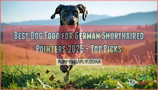 Best Dog Food for German Shorthaired Pointers 2025 - Top Picks