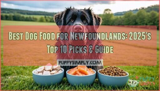 Best Dog Food for Newfoundlands: 2025's Top 10 Picks & Guide