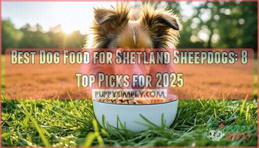 Best Dog Food for Shetland Sheepdogs: 8 Top Picks for 2025