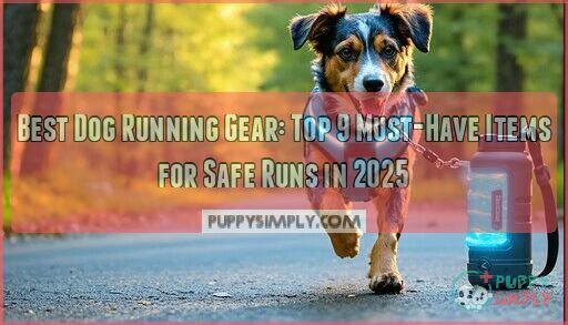 Best Dog Running Gear: Top 9 Must-Have Items for Safe Runs in 2025