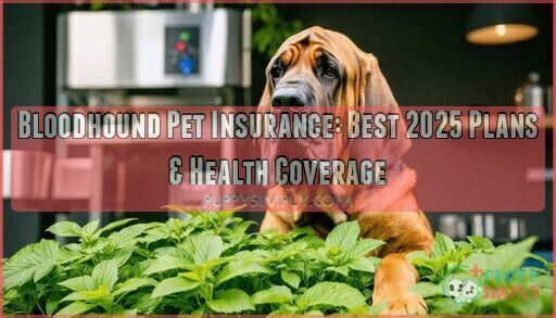 Bloodhound Pet Insurance: Best 2025 Plans & Health Coverage