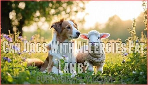 Can Dogs Eat Lamb? Safe Guide + Health Benefits for Your Pet