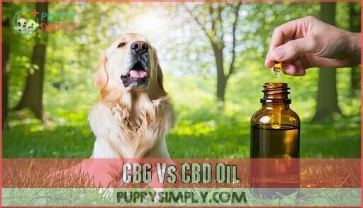CBG Oil for Dogs: Complete Safety & Dosage Guide 2025