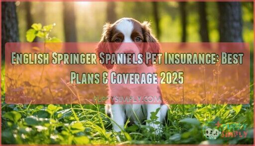 English Springer Spaniels Pet Insurance: Best Plans & Coverage 2025