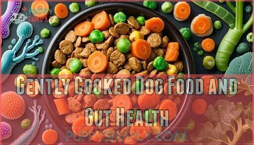 Gently Cooked Dog Food: 2025's Best Brands & Health Benefits