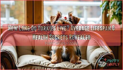 How Long Do Yorkies Live: 12-15 Year Lifespan + Health Tips