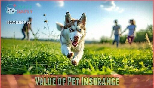 Siberian Husky Pet Insurance: Best Plans & Coverage 2025