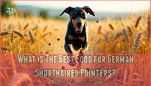 Best Dog Food for German Shorthaired Pointers 2025 - Top Picks