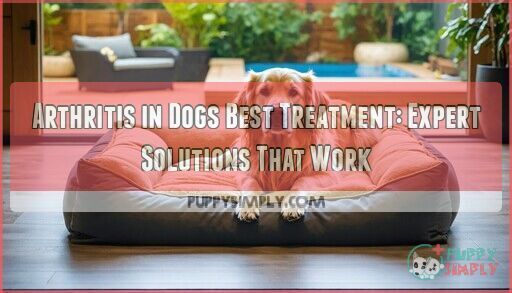Arthritis in Dogs Best Treatment: Expert Solutions That Work