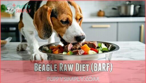 Beagle Raw Dog Food Diet: Complete Guide & Best Brands 2025