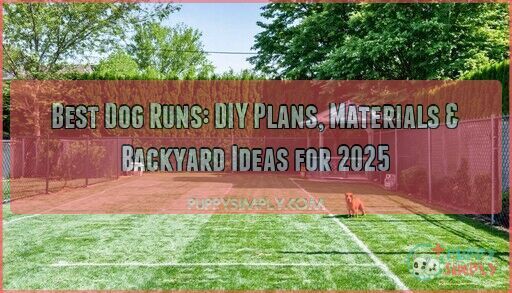 Best Dog Runs: DIY Plans, Materials & Backyard Ideas for 2025