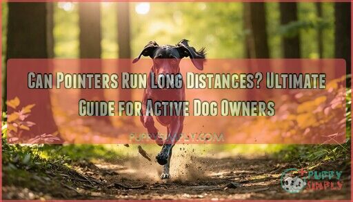 Can Pointers Run Long Distances? Ultimate Guide for Active Dog Owners