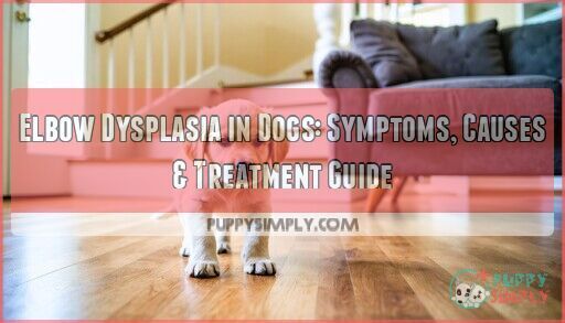 Elbow Dysplasia in Dogs: Symptoms, Causes & Treatment Guide