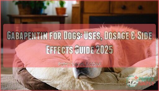 Gabapentin for Dogs: Uses, Dosage & Side Effects Guide 2025