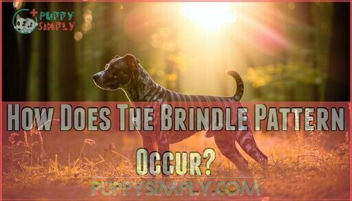 Brindle Dog Breeds: 15 Striped Pups With Beautiful Coats