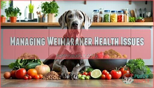 Weimaraner Homemade Dog Food: Nutrition Tips, Recipes & Feeding Guide
