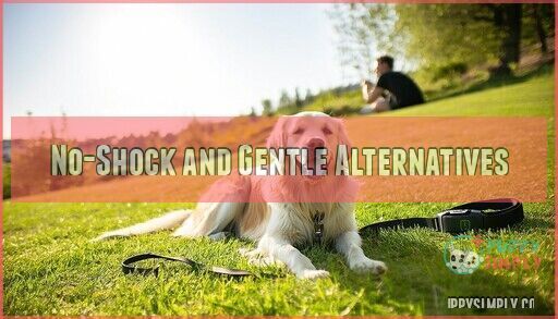 Best Dog Training Collars 2025: Top Picks Tested & Reviewed