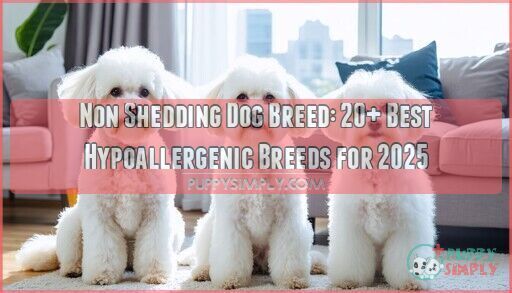 Non Shedding Dog Breed: 20+ Best Hypoallergenic Breeds for 2025
