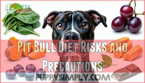 Homemade Dog Food for Pitbulls: 5 Vet-Approved Recipes That Work