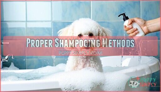 DIY Dog Grooming Tips for Poodles: Expert Guide for Perfect Results