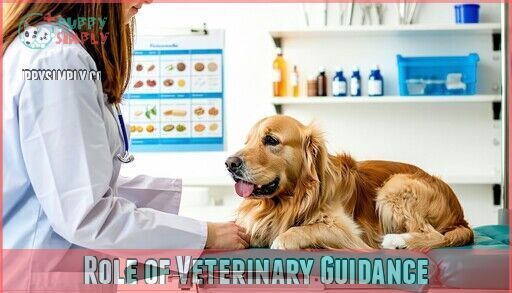 How to Feed Your Dog: 5 Essential Tips Every Owner Must Know