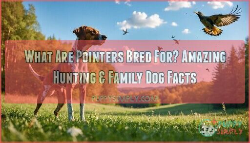 What Are Pointers Bred For? Amazing Hunting & Family Dog Facts