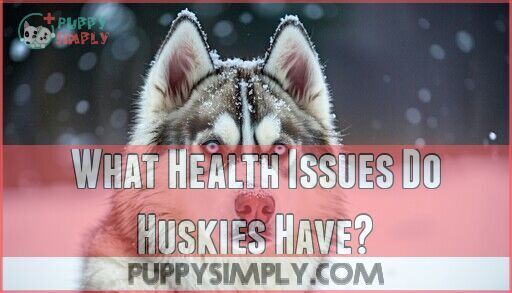 Husky Temperament: What's It Like Owning One? Real Pros & Cons