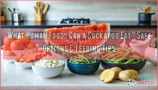 What Human Foods Can a Cockapoo Eat? Safe Options & Feeding Tips