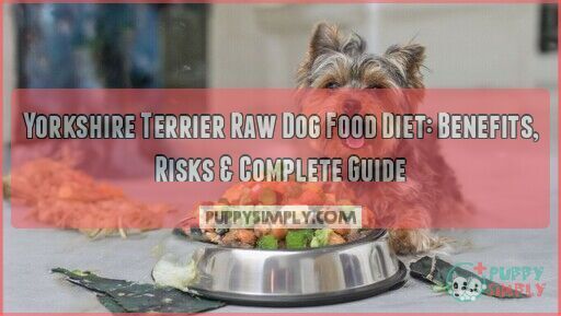Yorkshire Terrier Raw Dog Food Diet: Benefits, Risks & Complete Guide