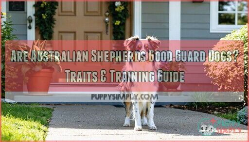 Are Australian Shepherds Good Guard Dogs? Traits & Training Guide