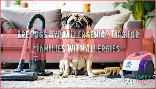 Are Pugs Hypoallergenic? Tips for Families With Allergies