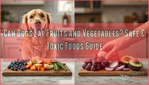 Can Dogs Eat Fruits and Vegetables? Safe & Toxic Foods Guide
