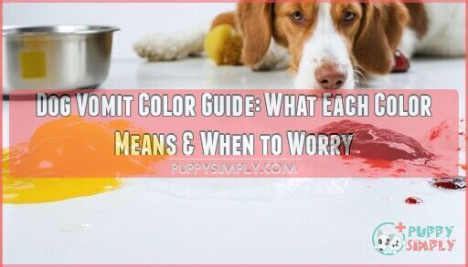 Dog Vomit Color Guide: What Each Color Means & When to Worry