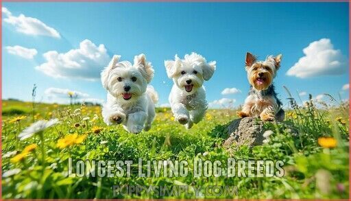 Dog Breed Lifespan Comparison Chart: Complete Guide by Size