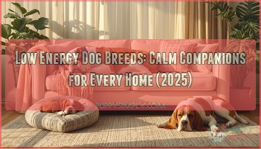 Low Energy Dog Breeds: Calm Companions for Every Home (2025)