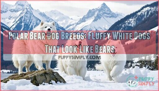 Polar Bear Dog Breeds: Fluffy White Dogs That Look Like Bears