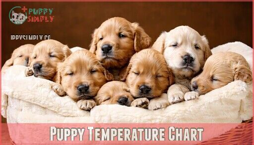 Dog Temperature Chart: Normal Ranges, Signs & Safety Guide