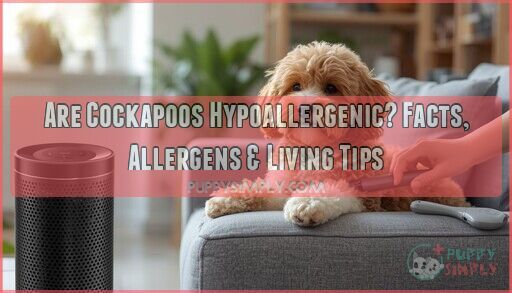 Are Cockapoos Hypoallergenic? Facts, Allergens & Living Tips