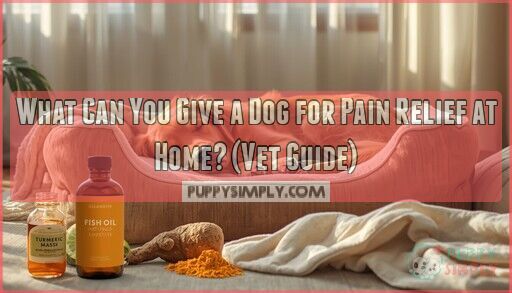 What Can You Give a Dog for Pain Relief at Home? (Vet Guide)