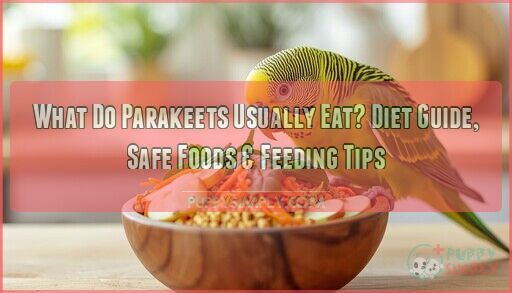 What Do Parakeets Usually Eat? Diet Guide, Safe Foods & Feeding Tips