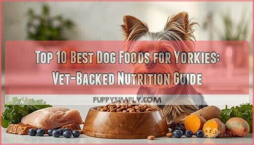 Top 10 Best Dog Foods for Yorkies: Vet-Backed Nutrition Guide
