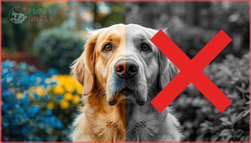 Are Dogs Color Blind? What Colors Dogs See and How Vision Works