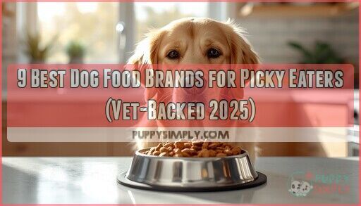 9 Best Dog Food Brands for Picky Eaters (Vet-Backed 2025)
