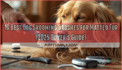 10 Best Dog Grooming Brushes for Matted Fur (2025 Buyer's Guide)