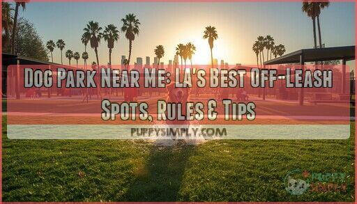 Dog Park Near Me: LA's Best Off-Leash Spots, Rules & Tips