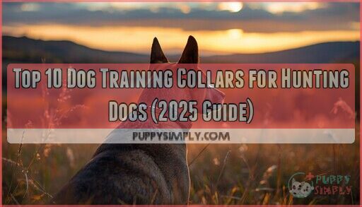 Top 10 Dog Training Collars for Hunting Dogs (2025 Guide)